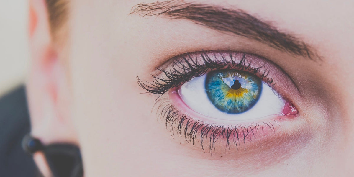 Name It to Tame It: Identifying and Understanding Emotions — metaFox.eu