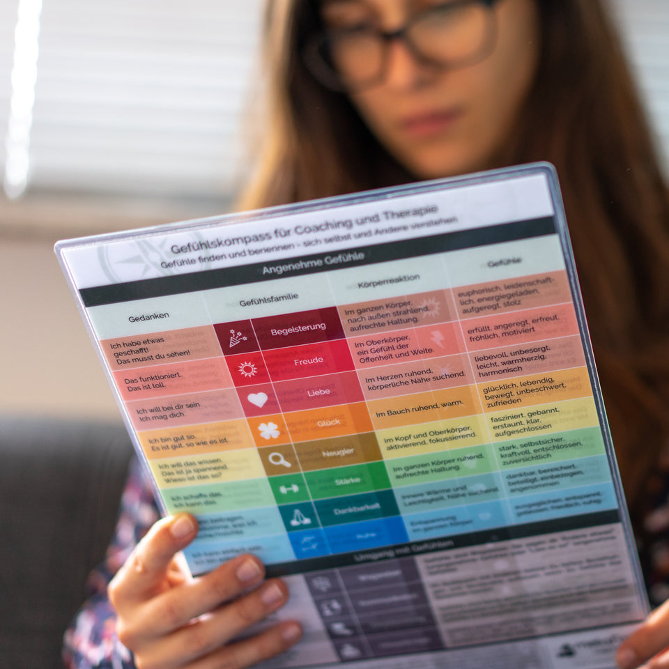 User’s Guide to the Emotions Compass & Needs Compass — metaFox.eu