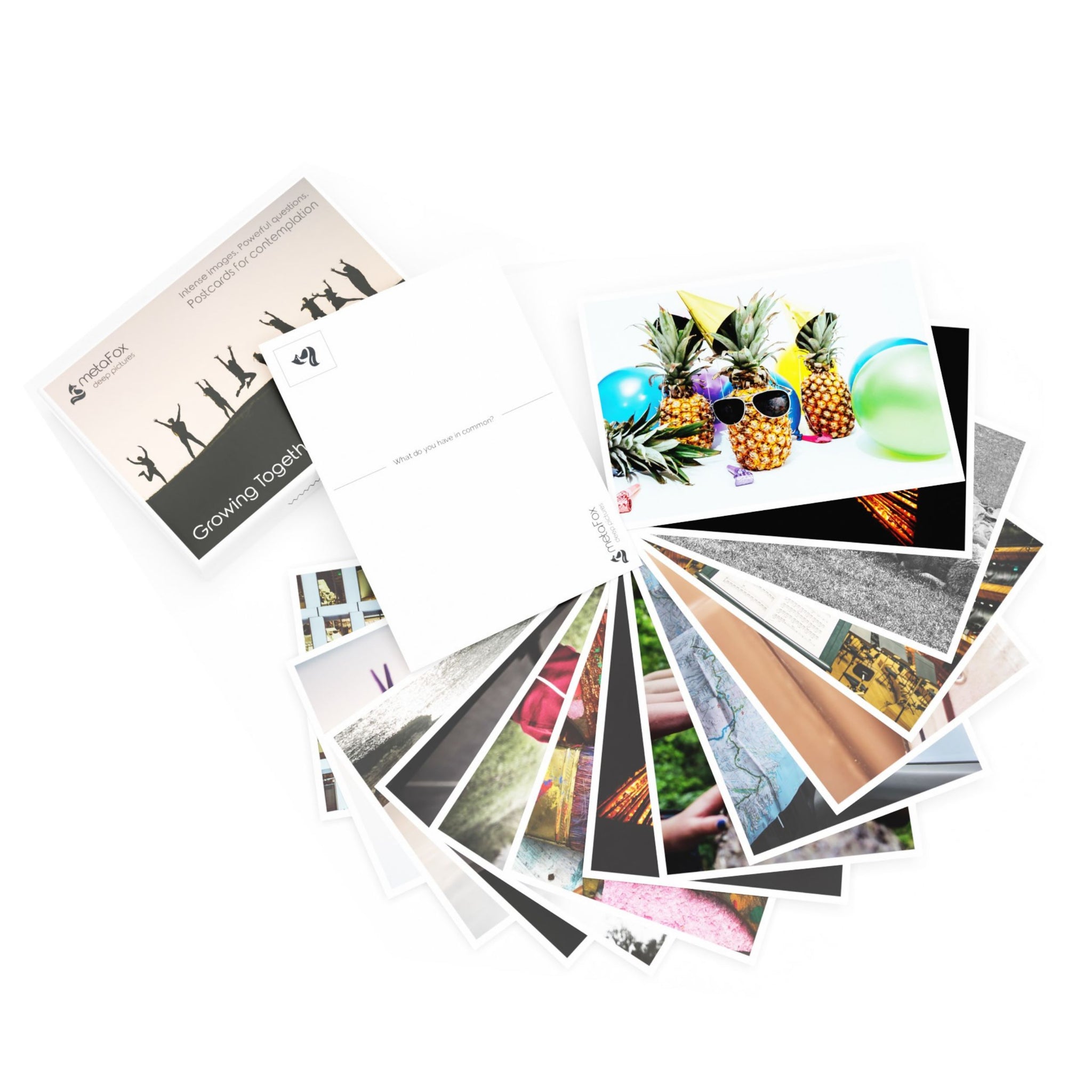 Printable Coaching Picture Cards PDF — metaFox.eu