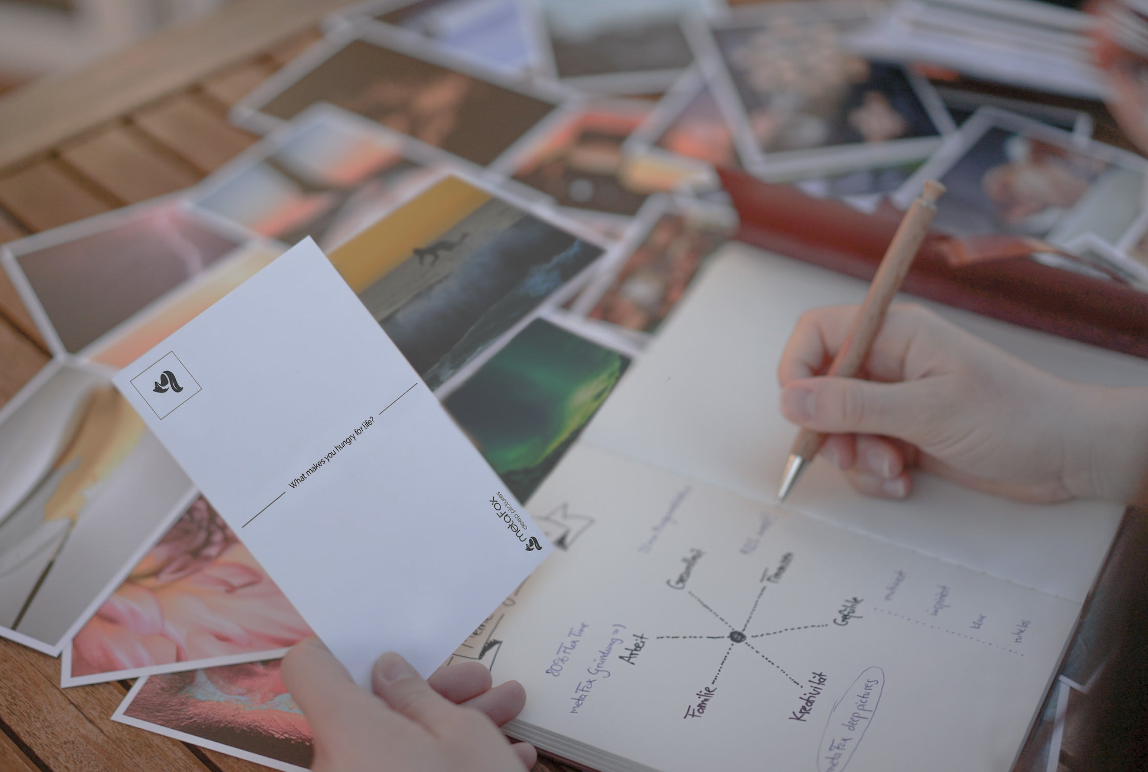 metaFox - Provide empowering tools for people development. — metaFox.eu