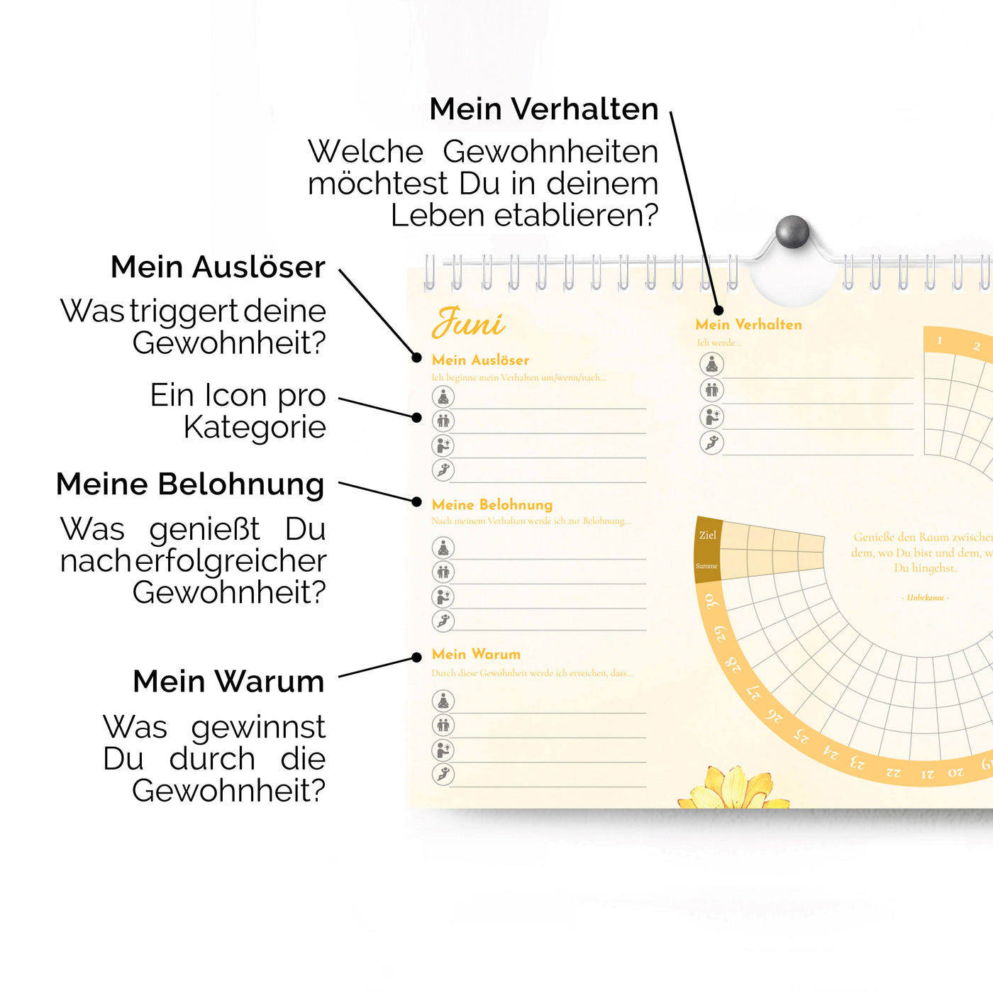 Habit Tracker – undated 12-month spiral tracker & wall calendar ...