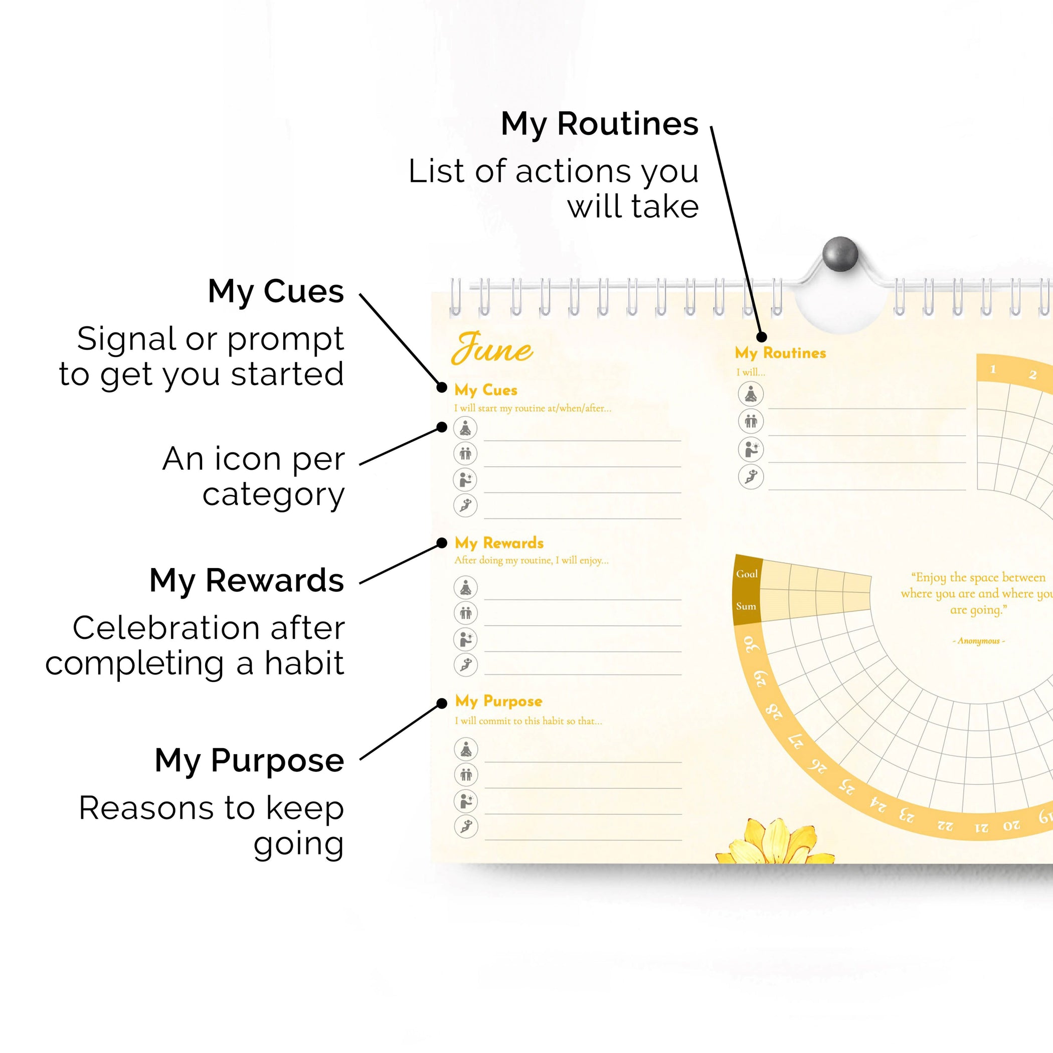 Habit Tracker – undated 12-month spiral tracker & wall calendar ...